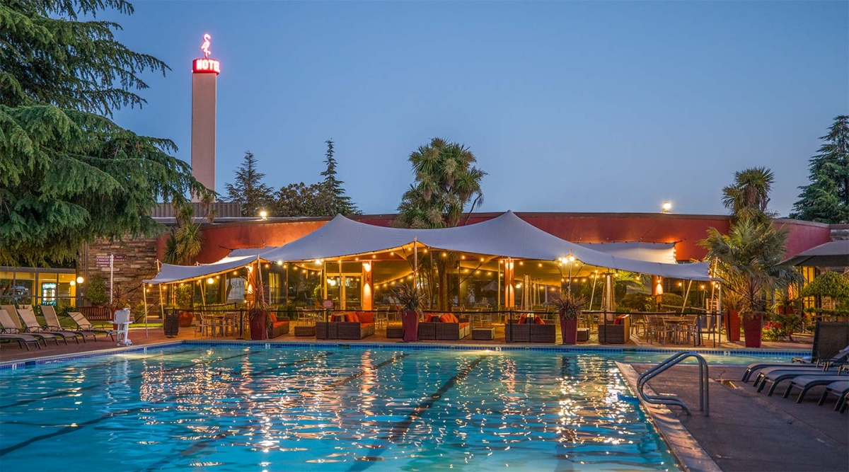 Events – Camas Advice